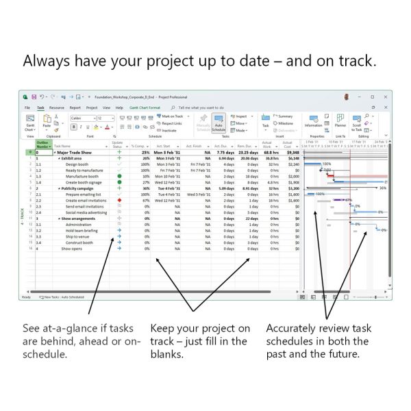 Microsoft Project Guide Core - Project Learning